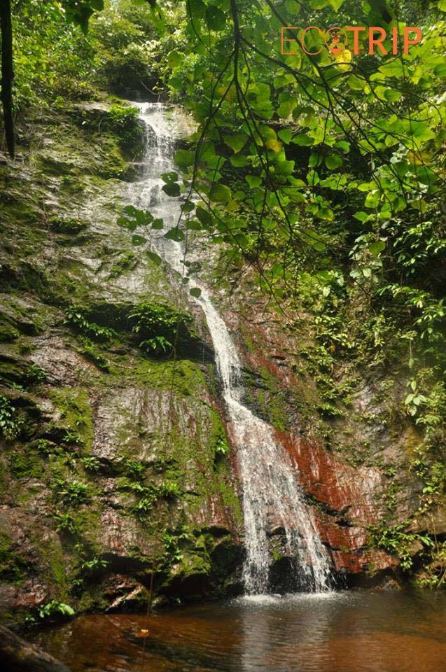 25+ Wisata Alami, Pantai, Goa, Air Terjun & Edukasi di Berau Kalimantan